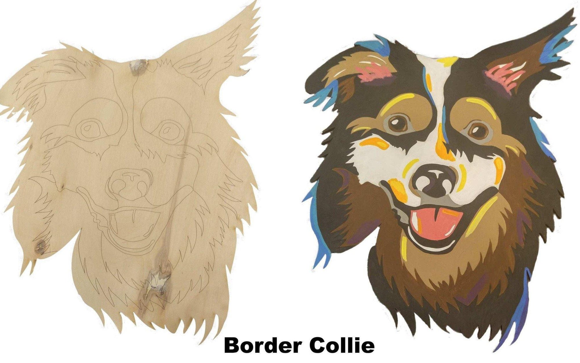 Border Collie-DIY Pop Art Paint Kit-Earnhardt Collection| Personal ...