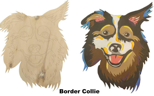 Border Collie-DIY Pop Art Paint Kit-Earnhardt Collection| Personal ...