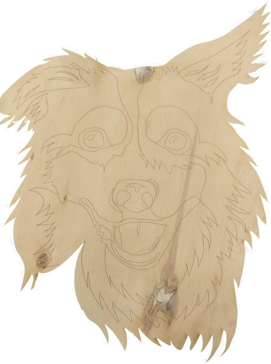 Border Collie-DIY Pop Art Paint Kit-Earnhardt Collection| Personal ...