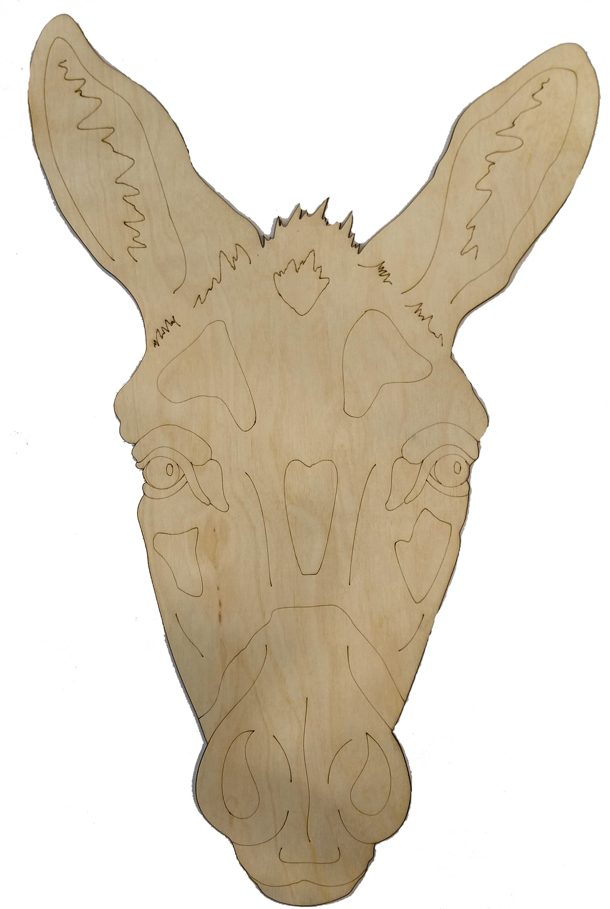 Donkey-DIY Pop Art Paint Kit-Earnhardt Collection| Personal Handcrafted ...