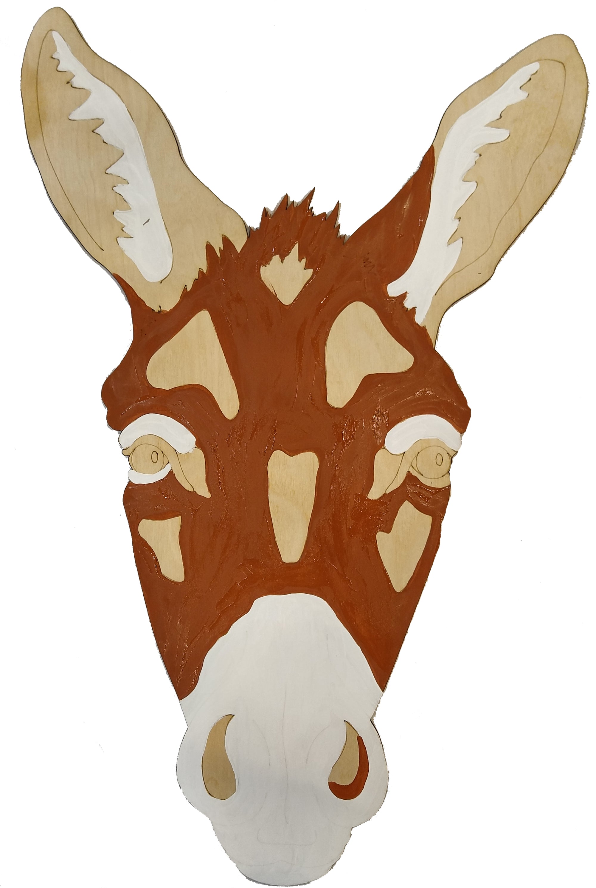 Donkey-DIY Pop Art Paint Kit-Earnhardt Collection| Personal Handcrafted ...