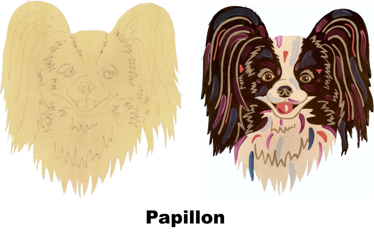 Papillon-DIY Pop Art Paint Kit-Earnhardt Collection| Personal ...