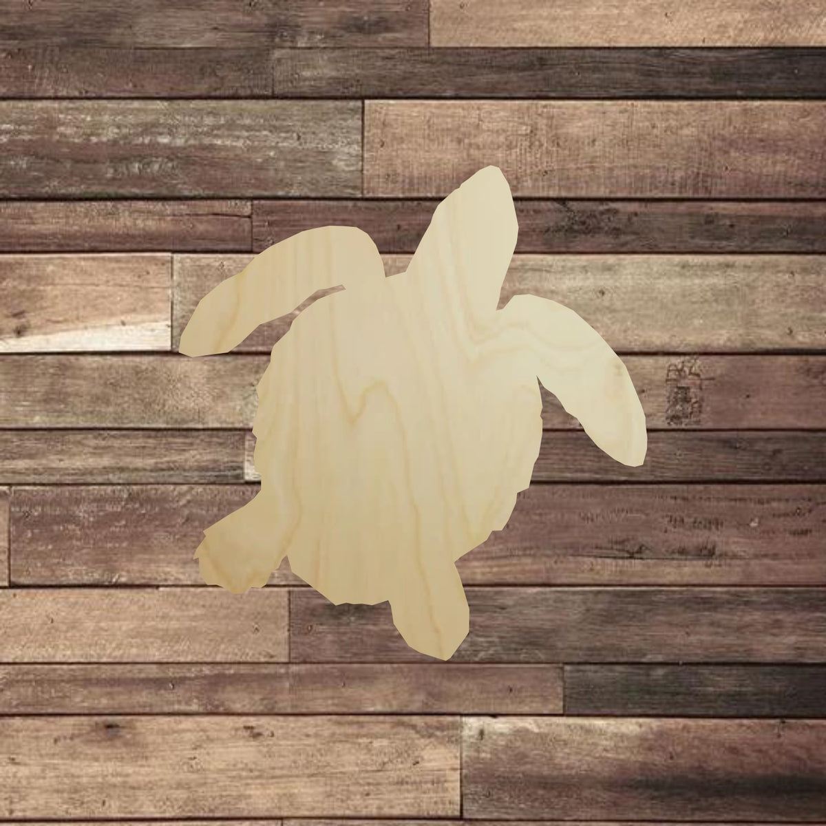 Sea Turtle 1| Personal Handcrafted Displays