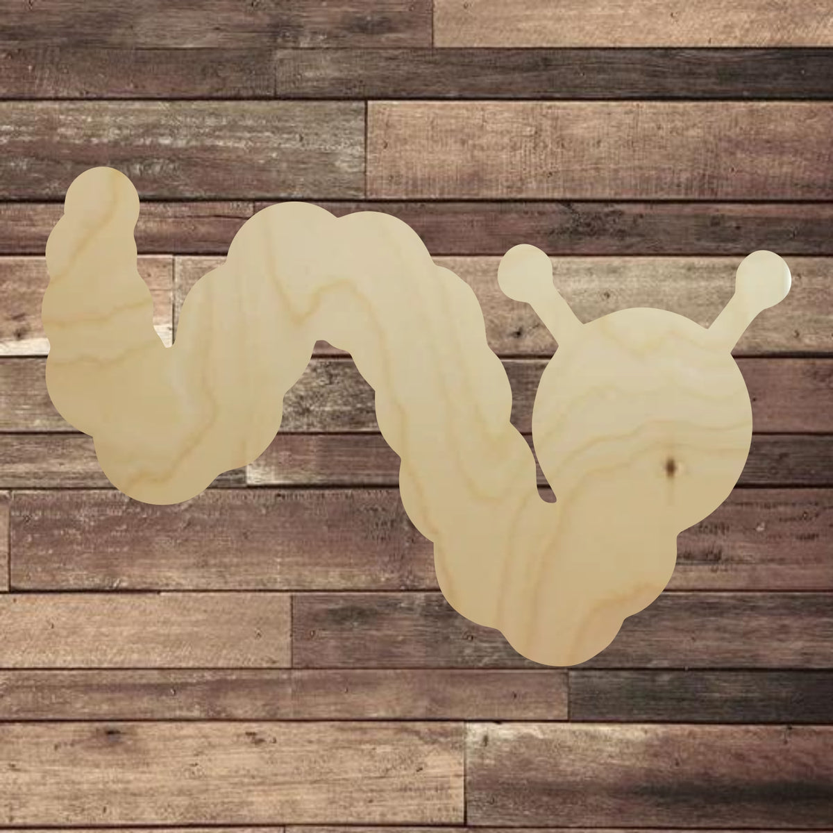 Worm| Personal Handcrafted Displays